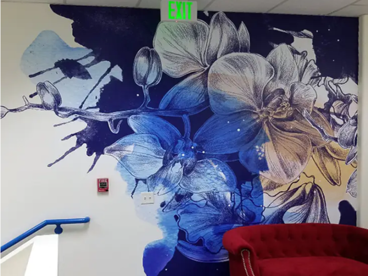 Environmental Graphics Wall Murals | Wall Graphics Murals