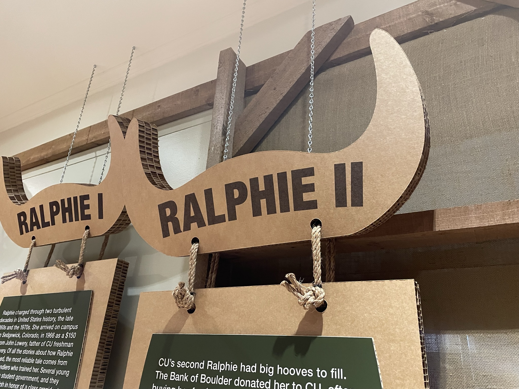 The Importance Of Eco-Friendly Materials In Signage - ARC